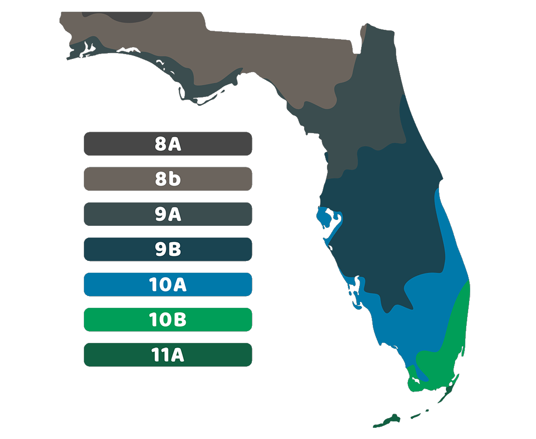 Florida Plant Hardiness Zone Map Mapsof Florida Zone Map Images Florida Plant Hardiness Zone Map Mapsof Florida Zone Map Images